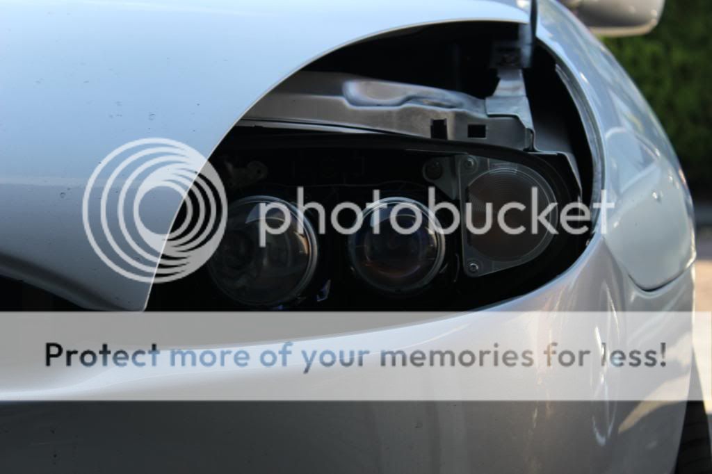 Project Sky Blue (Now TURBO'd) | Project Puma - Ford Puma Car Forum