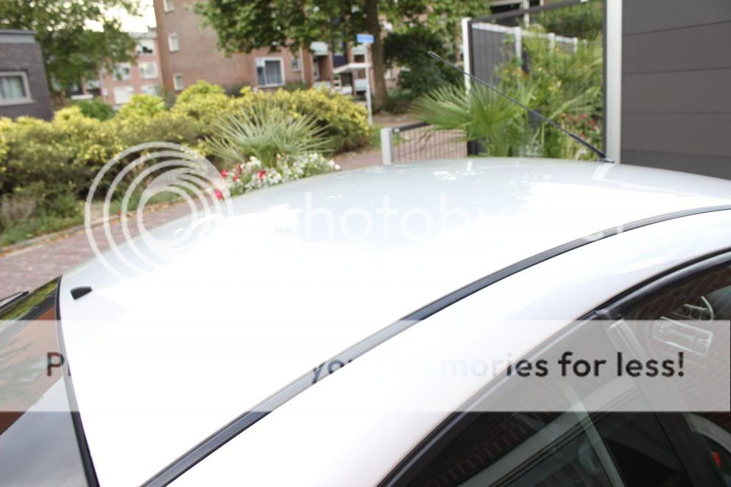 Project Sky Blue (Now TURBO'd) | Project Puma - Ford Puma Car Forum